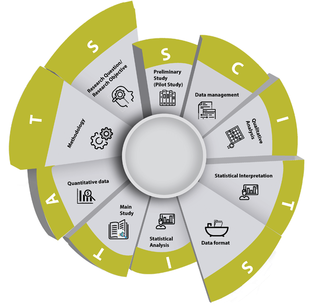 Statistical Data Analysis Service Statswork